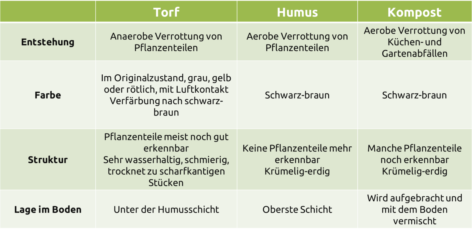 Feuchtgebiete – Moore unsere stillen Klimahelden - WURSTEND